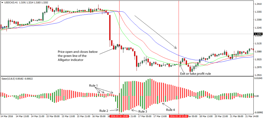 Gator Oscillator by Bill Williams Forex Strategy