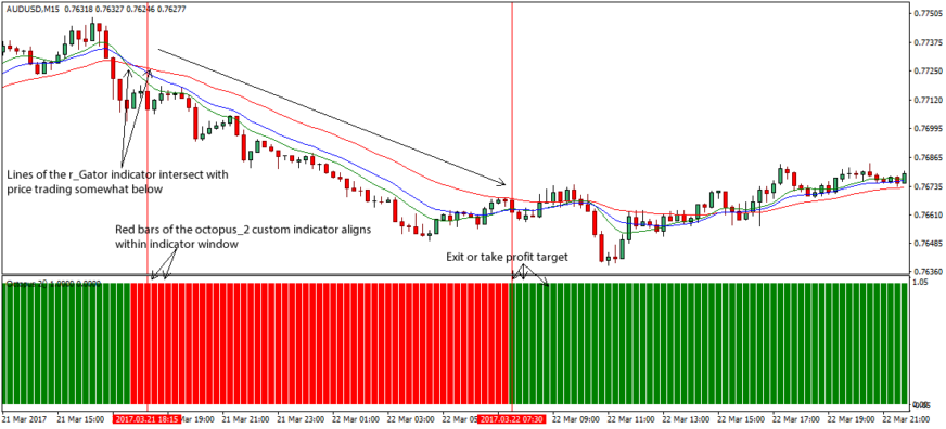 Octopus Gator Forex Trading Strategy