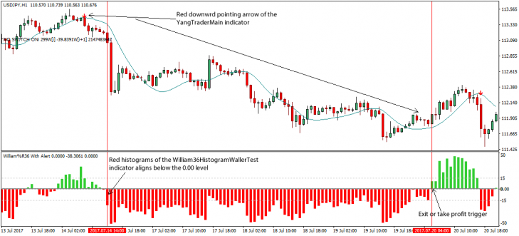 William Histogram Forex Trading Strategy