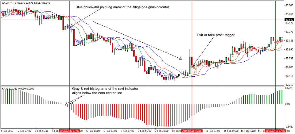 Alligator Forex Signal Trading Strategy