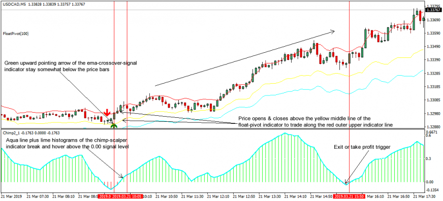Chimp Scalper Forex Strategy